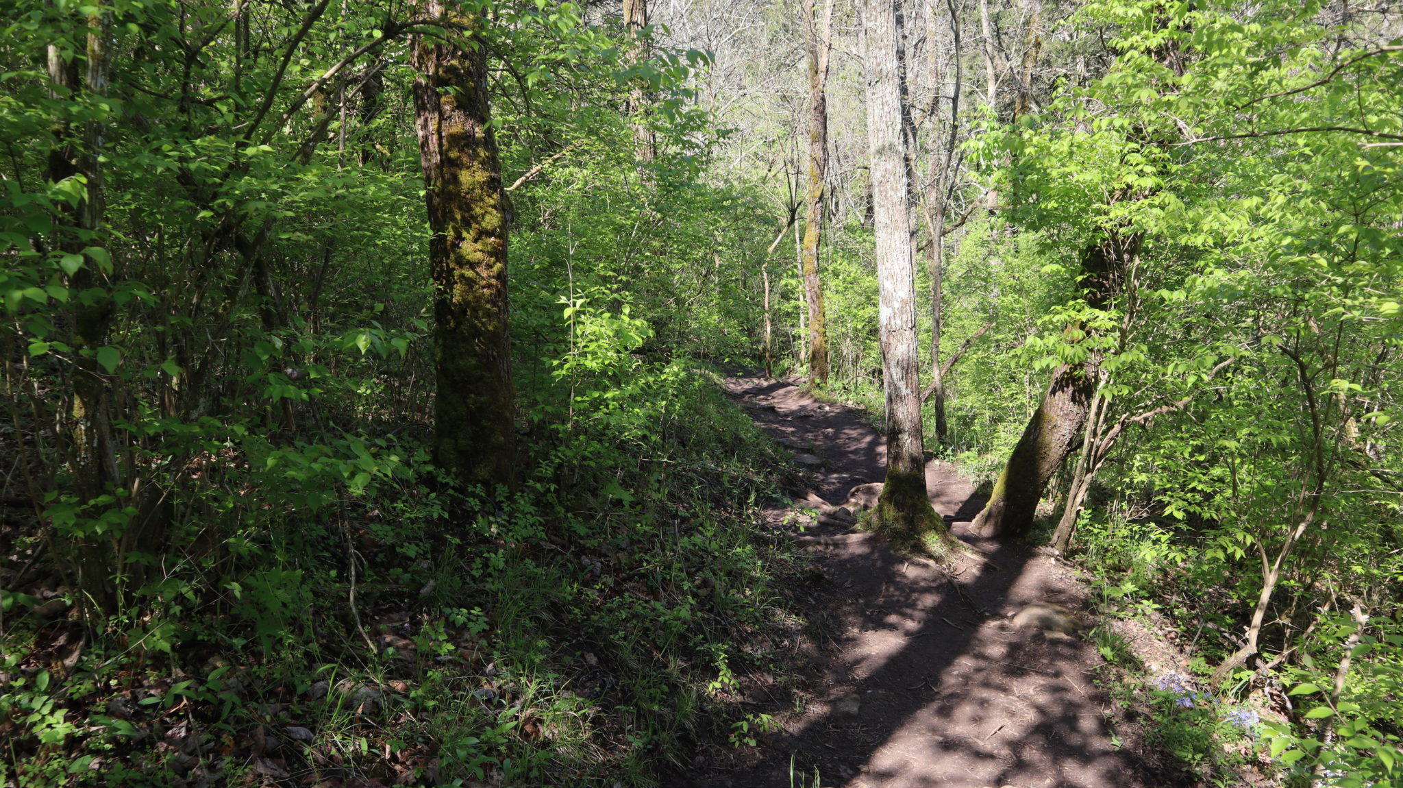Raven Run Nature Sanctuary – 2021 Trip #1 | Bluegrass Region Voices and ...